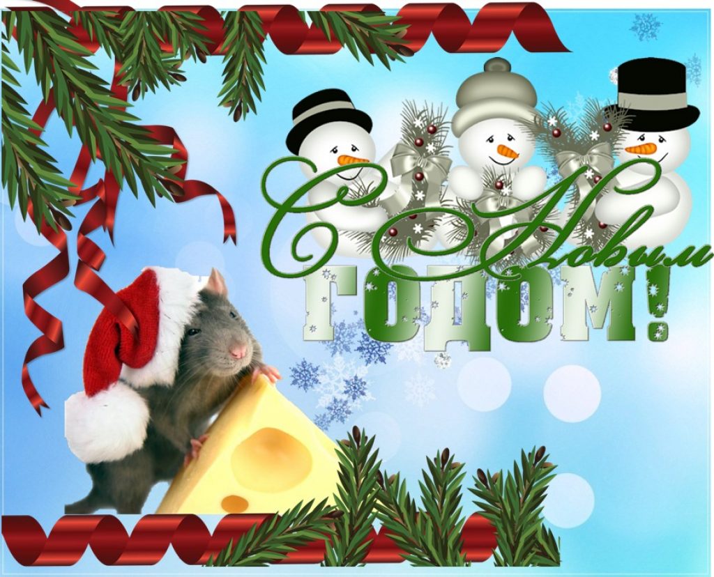 Прикольные поздравления С Новым Годом (35 фото) Открытки для смс ...